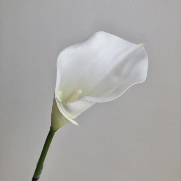 【商品番号：051-08575】/【VAR：20372】新商品201306　ASUKA　アスカ商会/A-32223-1/4511255349630/asum-008/bk-0038/bk-2038/bkz-0009/bk-0005/コーティ...