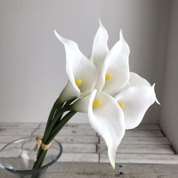 【商品番号：051-18536】/【VAR：】4511255422319/20170222new/bk-0038/asum-008/180310pu/180317pu/bk-1038/bk-2038/bkz-0009/bk-0005/bkz...