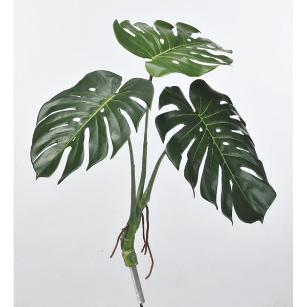 【商品番号：051-18612】/【VAR：】4511255422883/20170222new造花葉物、フェイクグリーン モンステラ【アスカ】