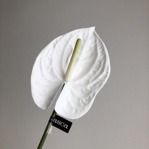 【商品番号：051-24621】/【VAR：63824】20200701new/a20awbc/bk-2040/16v-001/bkz-0011/bkz-0307/bkz-0203/oda2024_0813/bkz-0403造花 花材「あ行...