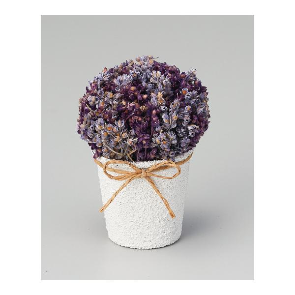 【商品番号：051-24965】/【VAR：63908】20200701newドライフラワーギフト【アスカ】