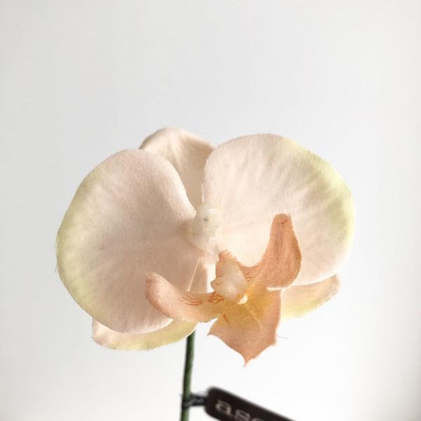 【商品番号：051-26743】/【VAR：68455】20210827new/bkz-0010/asum-200/milkypink/bkz-0202/oda2024/bkz-0402/bkz-0507造花 花材「か行」 コチョウラン（胡...