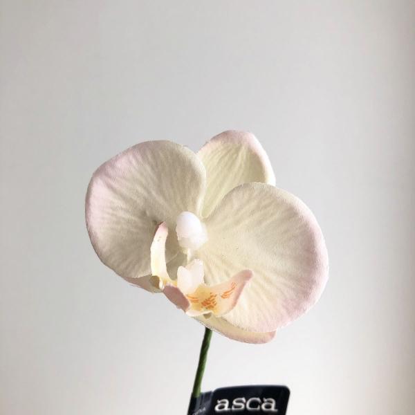 【商品番号：051-26744】/【VAR：68455】20210827new/bkz-0010/milkypink/bkz-0304/oda2024/bkz-0402/bkz-0504/bkz-0507造花 花材「か行」 コチョウラン（胡蝶蘭）