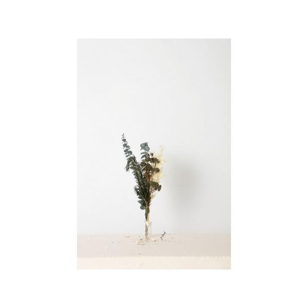 【商品番号：051-26852】【VAR：18017】20211019new/interiorbt01 ドライフラワーギフト