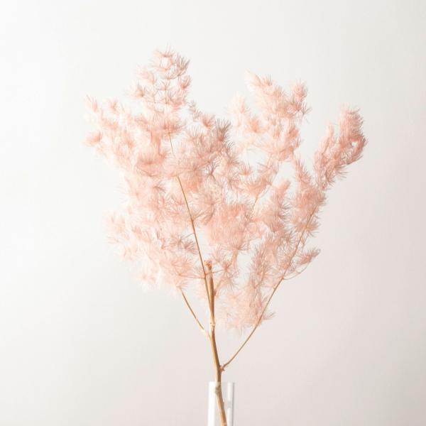 【商品番号：051-27558】/【VAR：67405】20220301new/bk-3009/color20230919/milkypinkドライ葉物 葉物