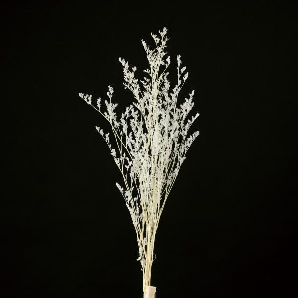 【商品番号：051-27562】/【VAR：67404】20220301newドライフラワー花材 その他ドライフラワー【アスカ】