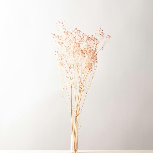 【商品番号：051-27568】/【VAR：18042】20220301new/color20230919/bk-4006/bk-5006ドライフラワー花材 カスミ草【アスカ】