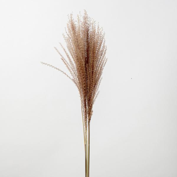 【商品番号：051-27736】/【VAR：67535】20220823new/bk-3013/fuw-01/color20230919ドライ穂物 ススキ