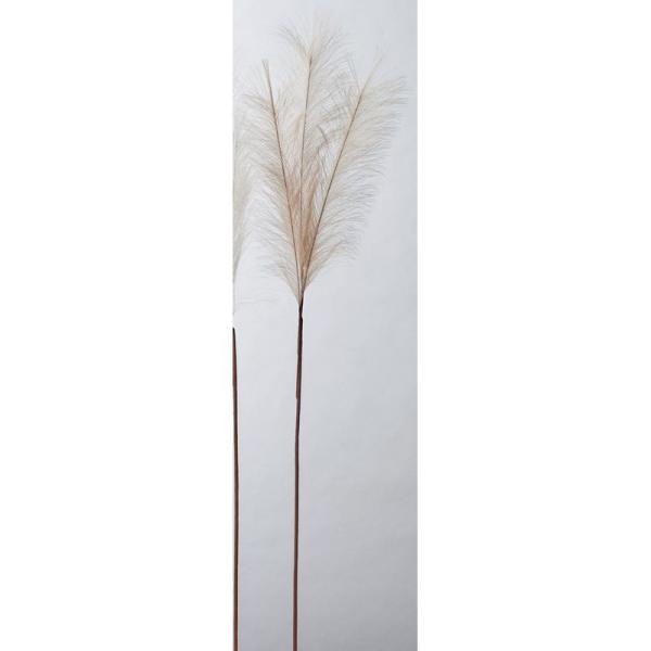 【商品番号：051-27994】/【VAR：71305】20220920new/color20230919/bkz-0212造花葉物 パンパスグラス【アスカ】