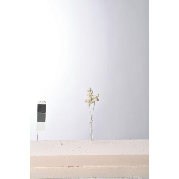 【商品番号：051-28203】/【VAR：】20220920new/bkz-0016造花枝物 その他の造花枝物