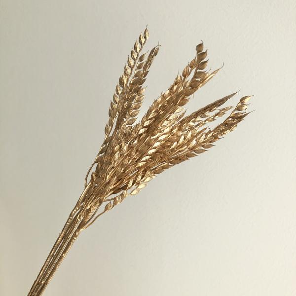 【商品番号：051-28689】/【VAR：71366】20220920new/22nypks/color20230919/oda2024_1128造花葉物、フェイクグリーン ススキ