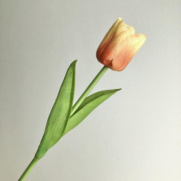 【商品番号：051-28935】/【VAR：】20230221new/bkz-0205/oda2024_1203/bkz-0405造花 花材「た行」 チューリップ【アスカ】