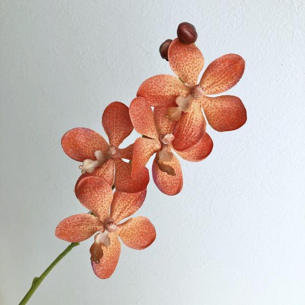 【商品番号：051-29042】/【VAR：】20230221new/bkz-0202/oda2024_1203/bkz-0402造花 花材「ら行」 ラン（蘭）・オーキッド【アスカ】