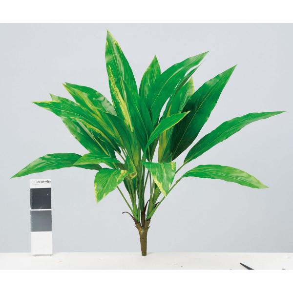 【商品番号：051-29852】/【VAR：】20230626new造花葉物 ドラセナ【アスカ】
