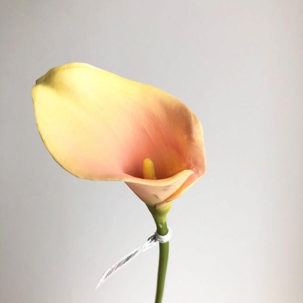 【商品番号：051-30615】/【VAR：80688】date20240221//oda2024/bkz-0404造花 花材「か行」 カラー【アスカ】