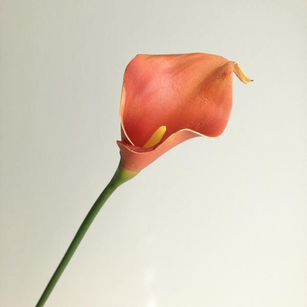 【商品番号：051-30619】/【VAR：80688】date20240221//oda2024_1128/bkz-0404造花 花材「か行」 カラー【アスカ】