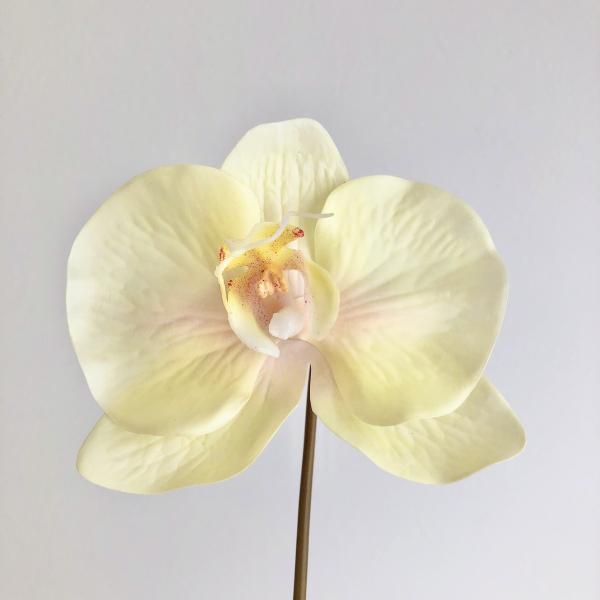 【商品番号：051-30841】/【VAR：80733】date20240221/oda2025_0304/bkz-0402/bkz-0507造花 花材「か行」 コチョウラン（胡蝶蘭）