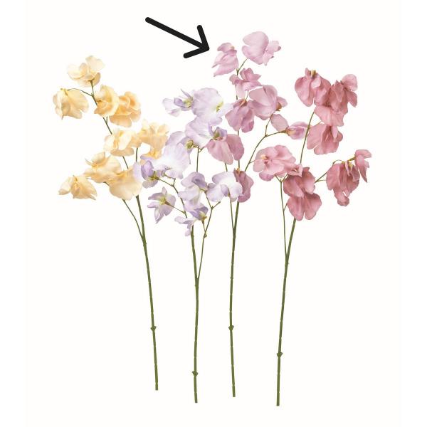 【商品番号：051-33866】/【VAR：32702】date20260207造花 花材「さ行」 スイトピー【アスカ】