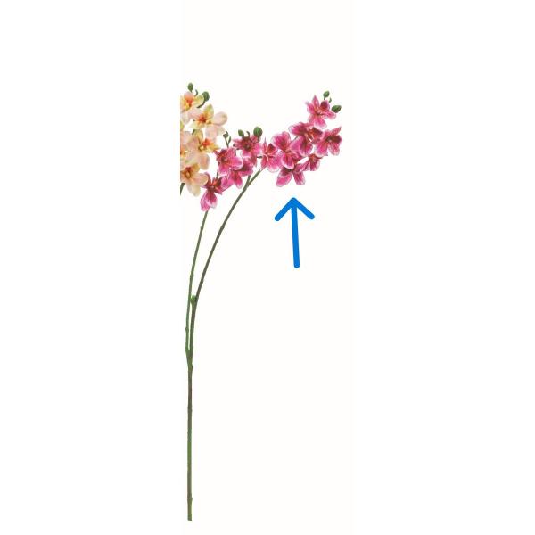 【商品番号：051-34110】/【VAR：88569】date20260207造花 花材「か行」 カトレア【アスカ】