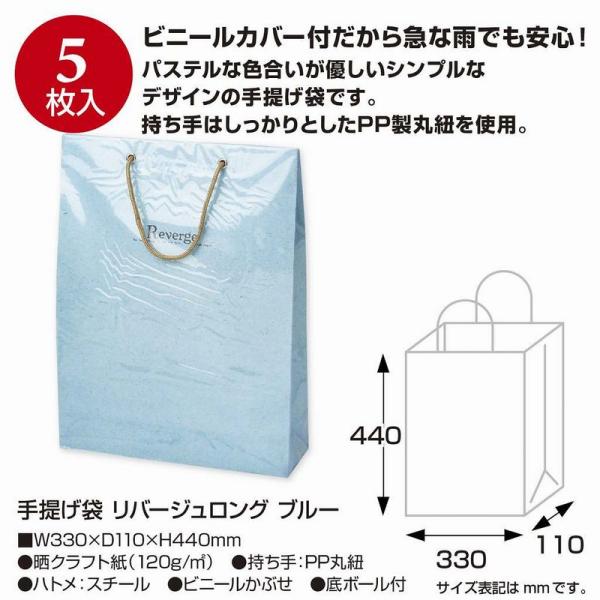 【商品番号：052-29232】/【販売単位】5枚 ※表示価格は、この単位での金額となります/【VAR：71811】20221130new/color20230919ラッピング袋・プレゼント袋 手提げ紙袋