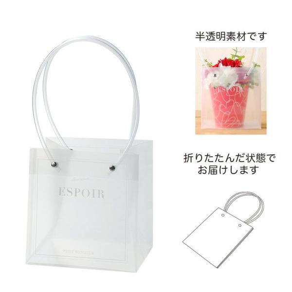 【商品番号：055-12971】/【販売単位】10個 ※表示価格は、この単位での金額となります/【VAR：75281】date20250121ラッピング袋・プレゼント袋 手提げ袋【GREENHOUSE】