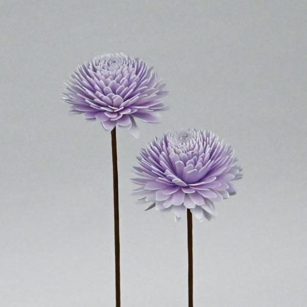 【商品番号：059-01104】/【VAR：77102】date20230828/sola12colorsソラフラワー ソラピンポンマム