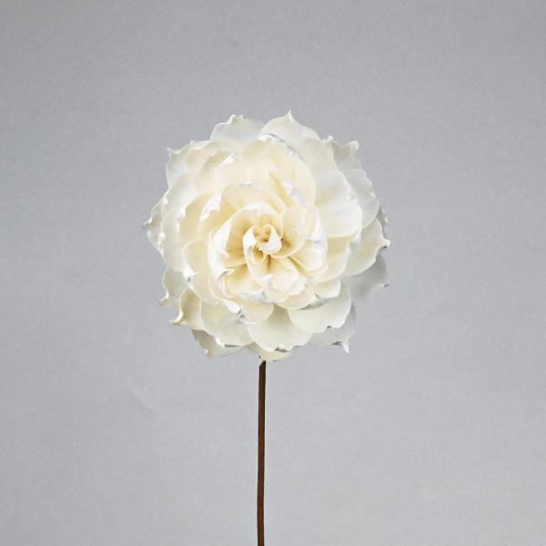 【商品番号：059-01142】/【VAR：77104】date20230828/sola12colorsソラフラワー ソラダリア