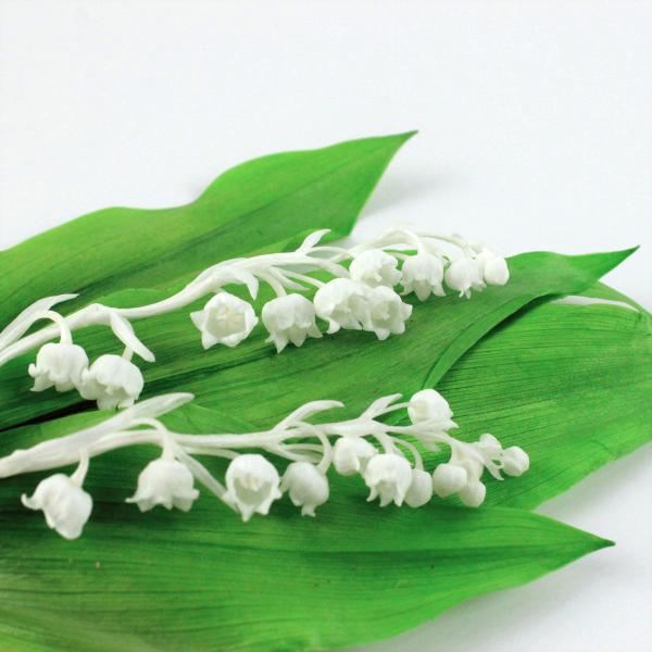 【商品番号：064-00053】/【VAR：】/bk-2044/bk-502その他プリザーブドフラワー花材【南原農園】