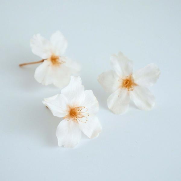 【商品番号：064-00241】/【VAR：67700】即日発送/bk-0044/bk-3006その他プリザーブドフラワー花材【南原農園】