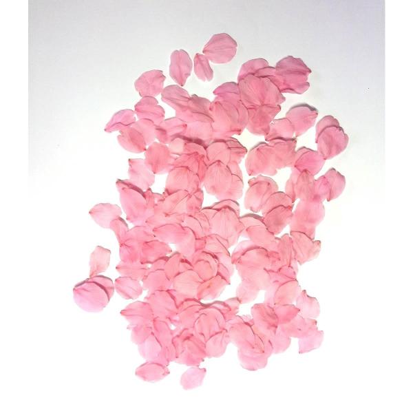 【商品番号：064-00247】/【VAR：67700】20190227new/bk-2025　桜その他プリザーブドフラワー花材