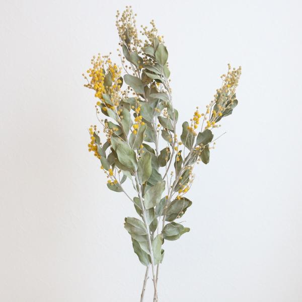 【商品番号：065-00038】/【販売単位】5束 ※表示価格は、この単位での金額となります/【VAR：61901】4544828177279/20170928new/bk-1108/bk-2108/bk-3016/mimosa38ドライフ...