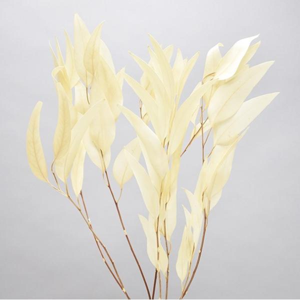 【商品番号：065-00145】/【VAR：】4544828102127/20170928new/bk-2003/bk-2026ドライ葉物 リーフ【コアトレーディング】