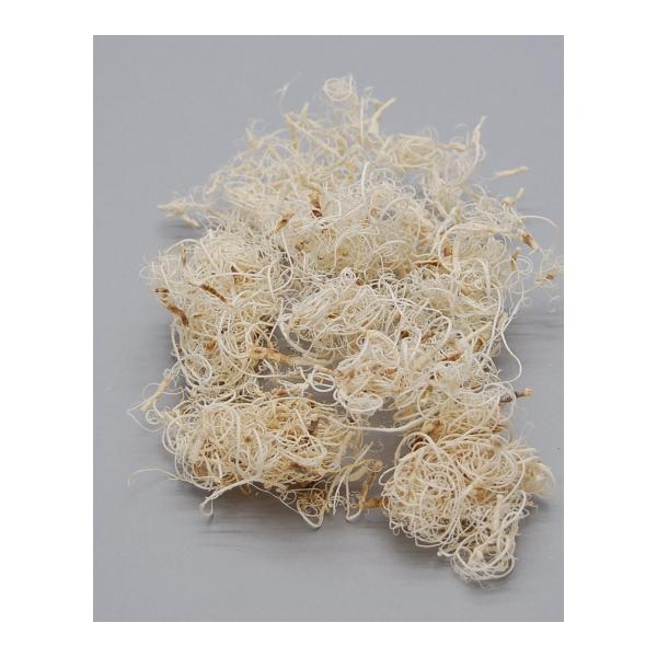 【商品番号：065-00151】/【販売単位】10袋 ※表示価格は、この単位での金額となります/【VAR：48182】4544828182099/20170928new/bk-3017/bk-4007ドライ葉物 モス・苔【コアトレーディング】