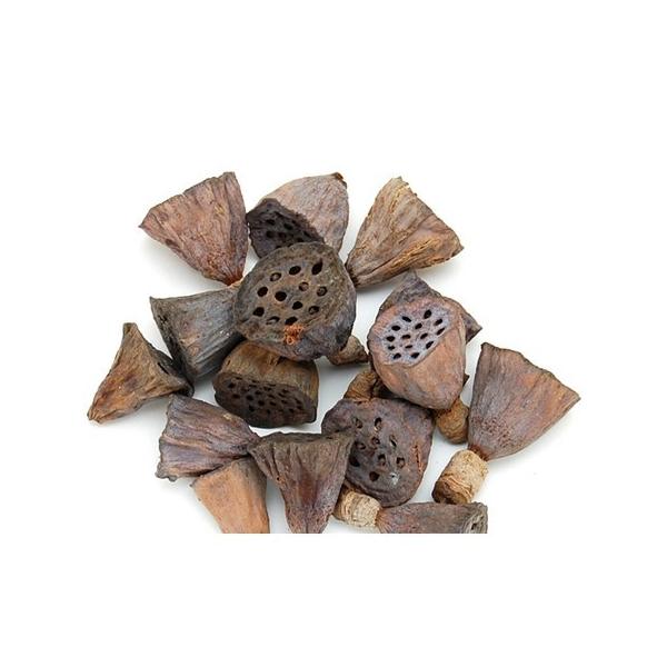 【商品番号：065-00285】/【販売単位】5袋 ※表示価格は、この単位での金額となります/【VAR：48162】4544828302725/20170928newドライ実物＆フルーツ 木の実【コアトレーディング】