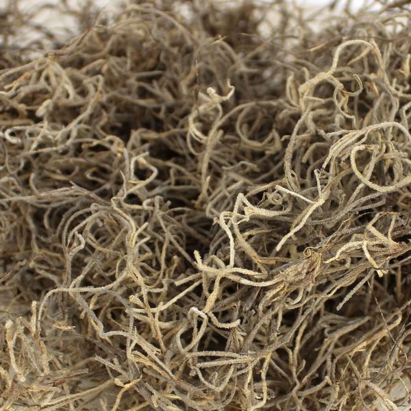 【商品番号：065-00426】/【VAR：48183】4544828302237/20170928new/bk-2046/bk-3017ドライ葉物 モス・苔【コアトレーディング】