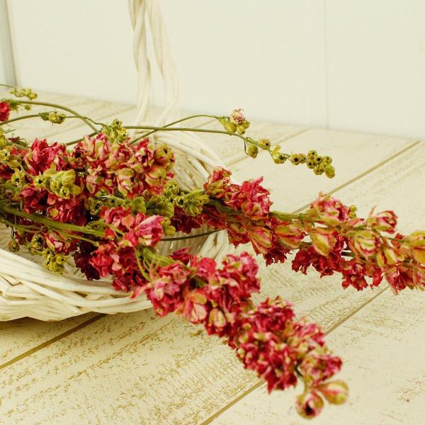 【商品番号：065-00603】/【VAR：50010】20171108new/bk-2108ドライフラワー花材 その他ドライフラワー