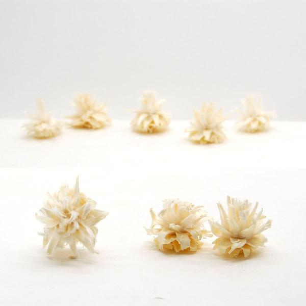 【商品番号：065-00646】/【販売単位】10束 ※表示価格は、この単位での金額となります/【VAR：】20190219newドライ実物＆フルーツ 松かさ、から松【コアトレーディング】