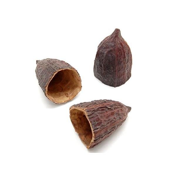 【商品番号：065-00655】/【販売単位】10袋 ※表示価格は、この単位での金額となります/【VAR：56665】20190219newドライ実物＆フルーツ 木の実【コアトレーディング】