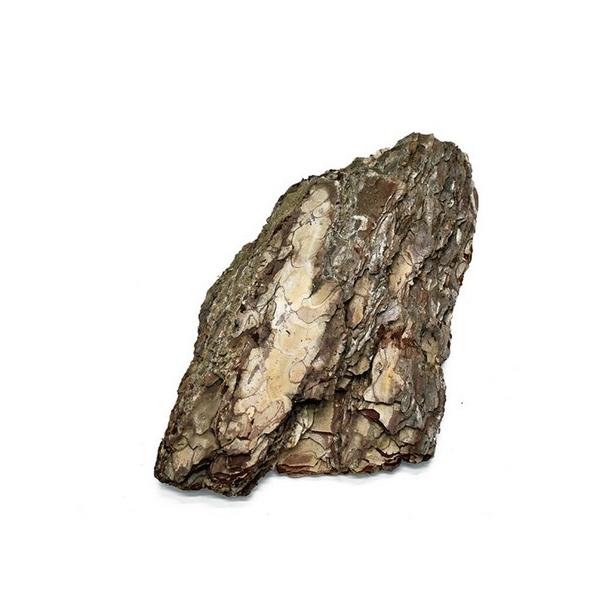 【商品番号：065-00763】/【販売単位】5袋 ※表示価格は、この単位での金額となります/【VAR：】20210615new/bk-3014ドライ枝物 その他【コアトレーディング】