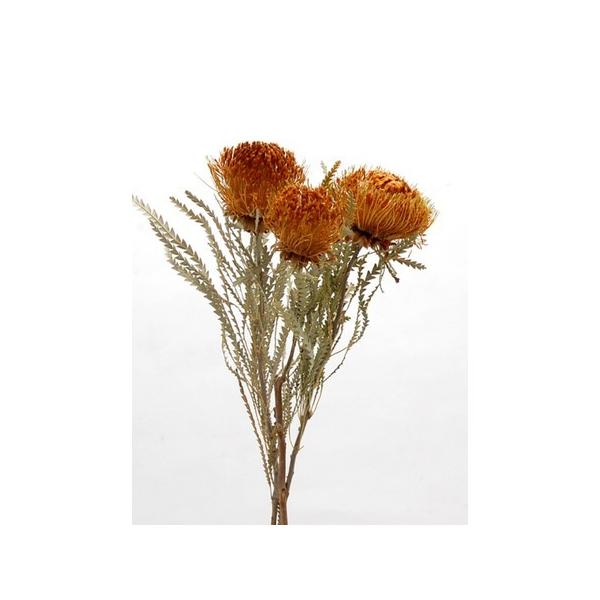 【商品番号：065-00792】/【VAR：】20210615new/bk-3011ドライワイルドフラワー その他ワイルドフラワー【コアトレーディング】