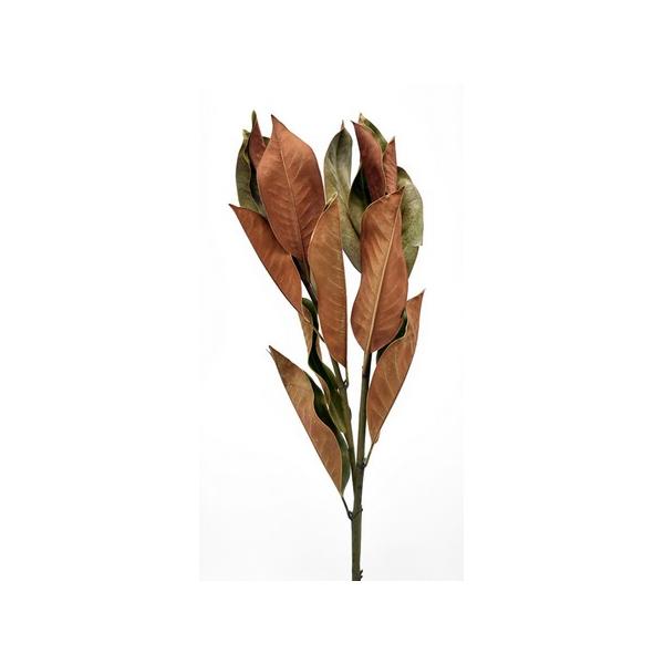 【商品番号：065-00798】/【VAR：】20210615new/bk-3009ドライ葉物 葉物【コアトレーディング】