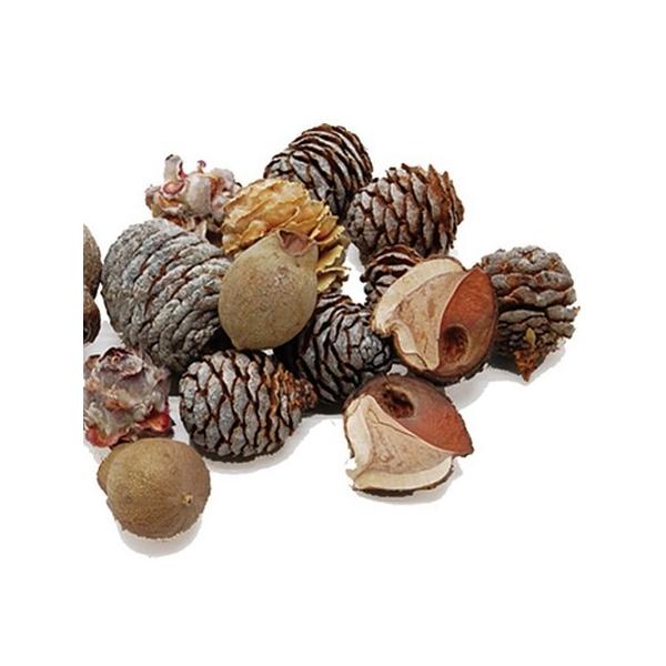 【商品番号：065-00940】/【VAR：67451】20220510newドライ実物＆フルーツ 木の実【コアトレーディング】