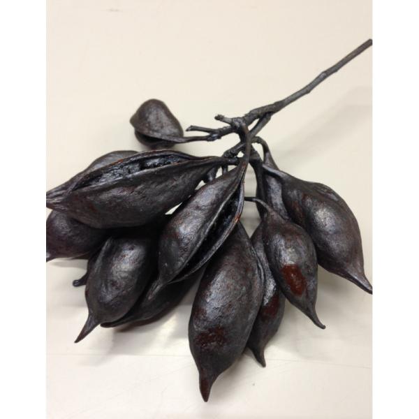 【商品番号：065-00942】/【VAR：81380】20220510newドライ実物＆フルーツ 木の実【コアトレーディング】