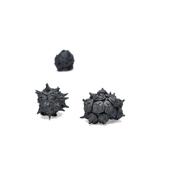 【商品番号：065-00953】/【販売単位】10袋 ※表示価格は、この単位での金額となります/【VAR：65645】20220510newドライ実物＆フルーツ 木の実【コアトレーディング】