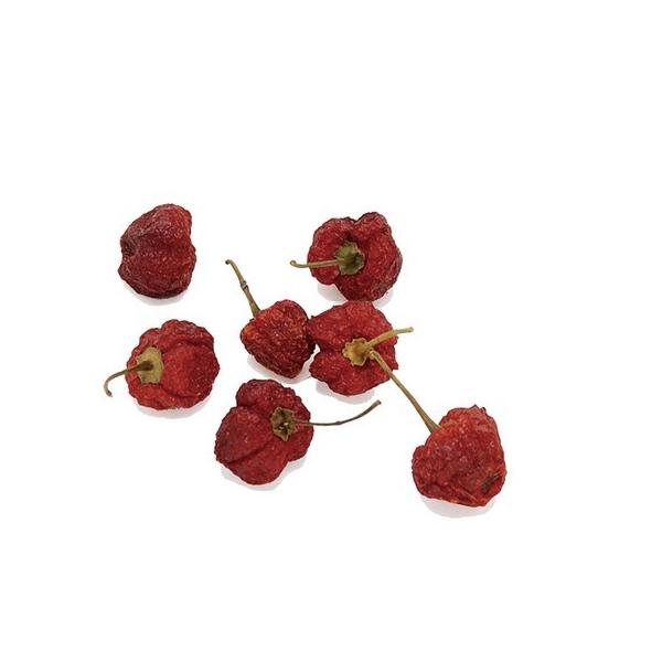 【商品番号：065-01103】/【販売単位】10袋 ※表示価格は、この単位での金額となります/【VAR：】20220510newドライ実物＆フルーツ フルーツ、香りのアイテム【コアトレーディング】