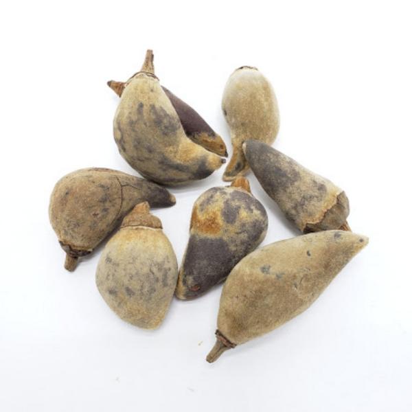 【商品番号：065-01148】/【販売単位】10袋 ※表示価格は、この単位での金額となります/【VAR：67557】20220510newドライ実物＆フルーツ 木の実【コアトレーディング】