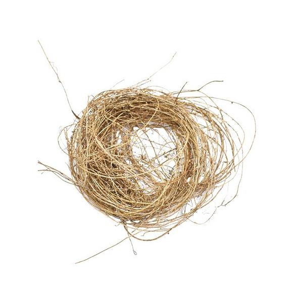 【商品番号：065-01203】/【販売単位】10袋 ※表示価格は、この単位での金額となります/【VAR：67567】20221108new/bk-3014ドライ枝物 その他【コアトレーディング】