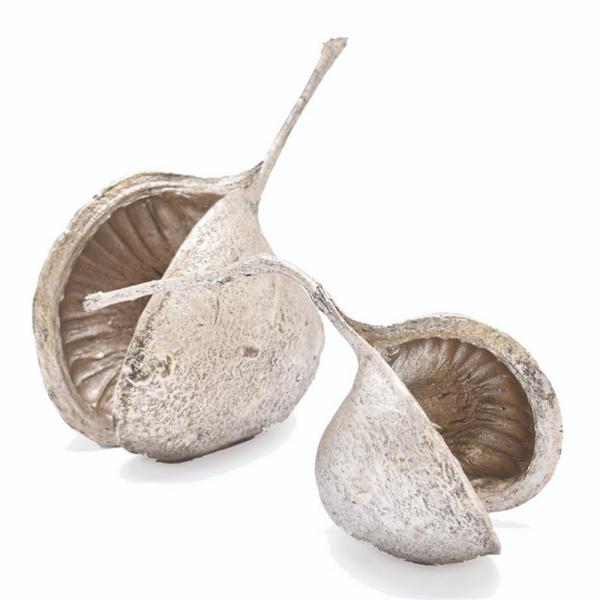 【商品番号：065-01215】/【販売単位】10袋 ※表示価格は、この単位での金額となります/【VAR：18187】20221108new/15px-002ドライ実物＆フルーツ 木の実【ビバ工芸】