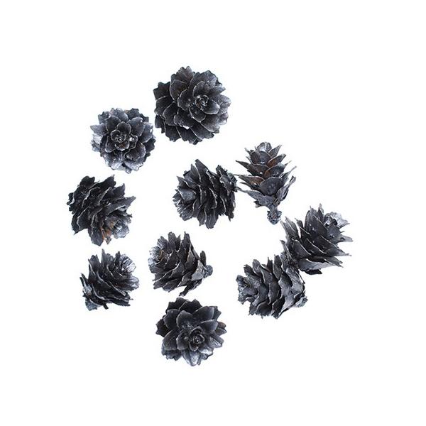 【商品番号：065-01223】/【販売単位】10袋 ※表示価格は、この単位での金額となります/【VAR：48174】20221108newドライ実物＆フルーツ 松かさ、から松【コアトレーディング】