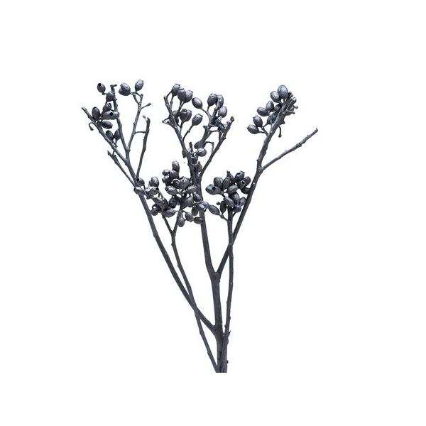 【商品番号：065-01237】/【販売単位】10束 ※表示価格は、この単位での金額となります/【VAR：67564】20221108newドライ実物＆フルーツ 木の実【コアトレーディング】